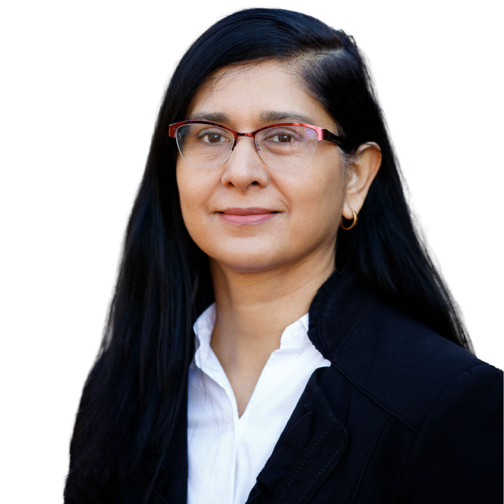 Primary Faculty » Electrical and Computer Engineering